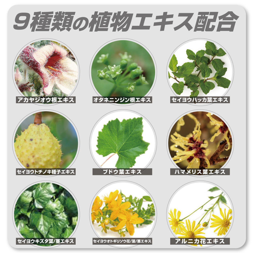 MOTLAB公式サイト｜ANALyze ENEMA エキスパート